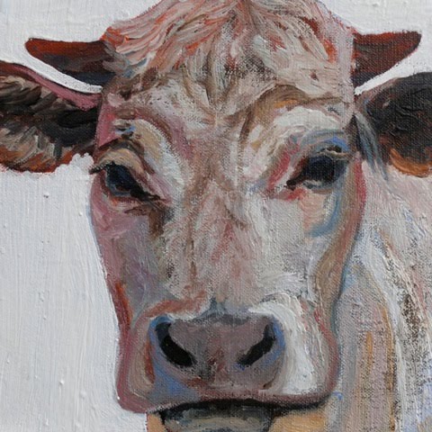 Cows and Nuns - Elizabeth Minchilli